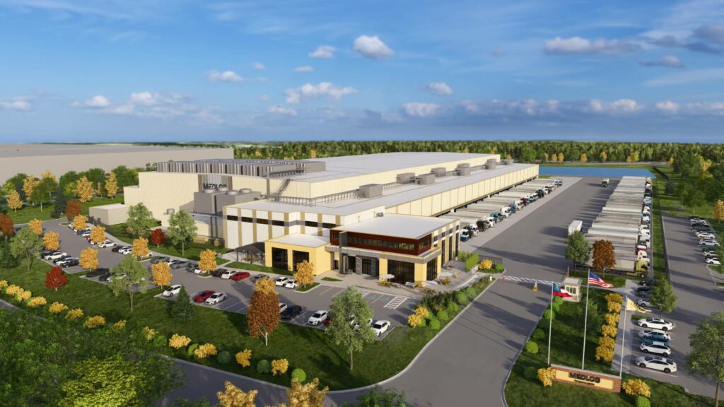 Savannah - Cold Summit